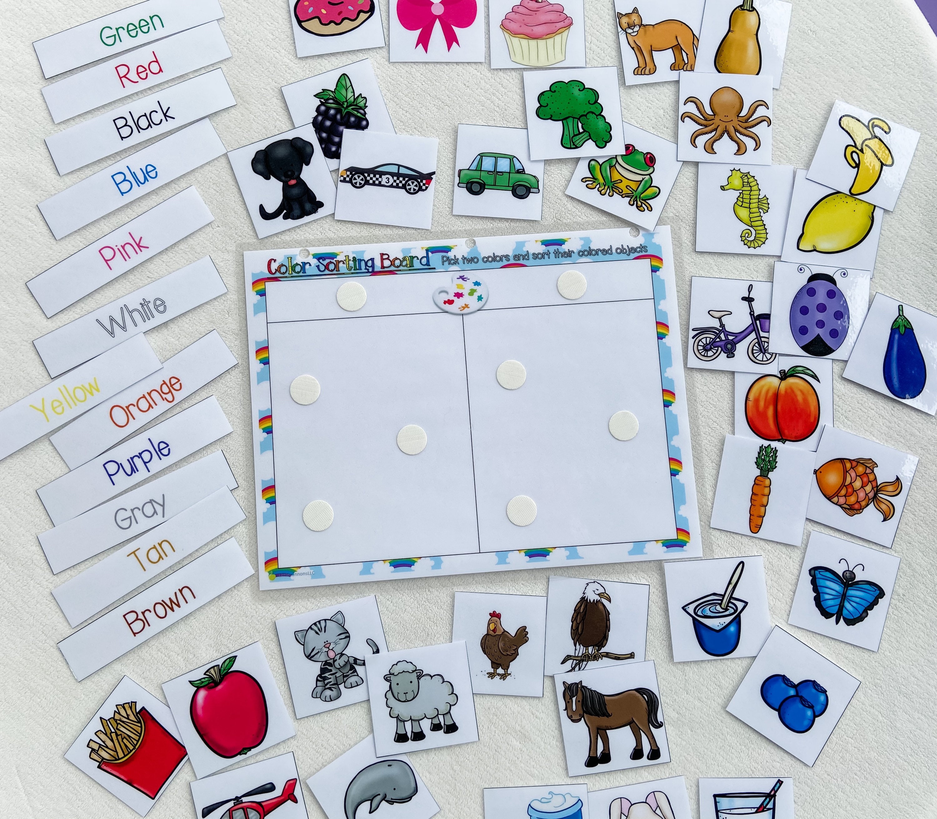 Color Sorting Digital Download Homeschool Activity | Etsy