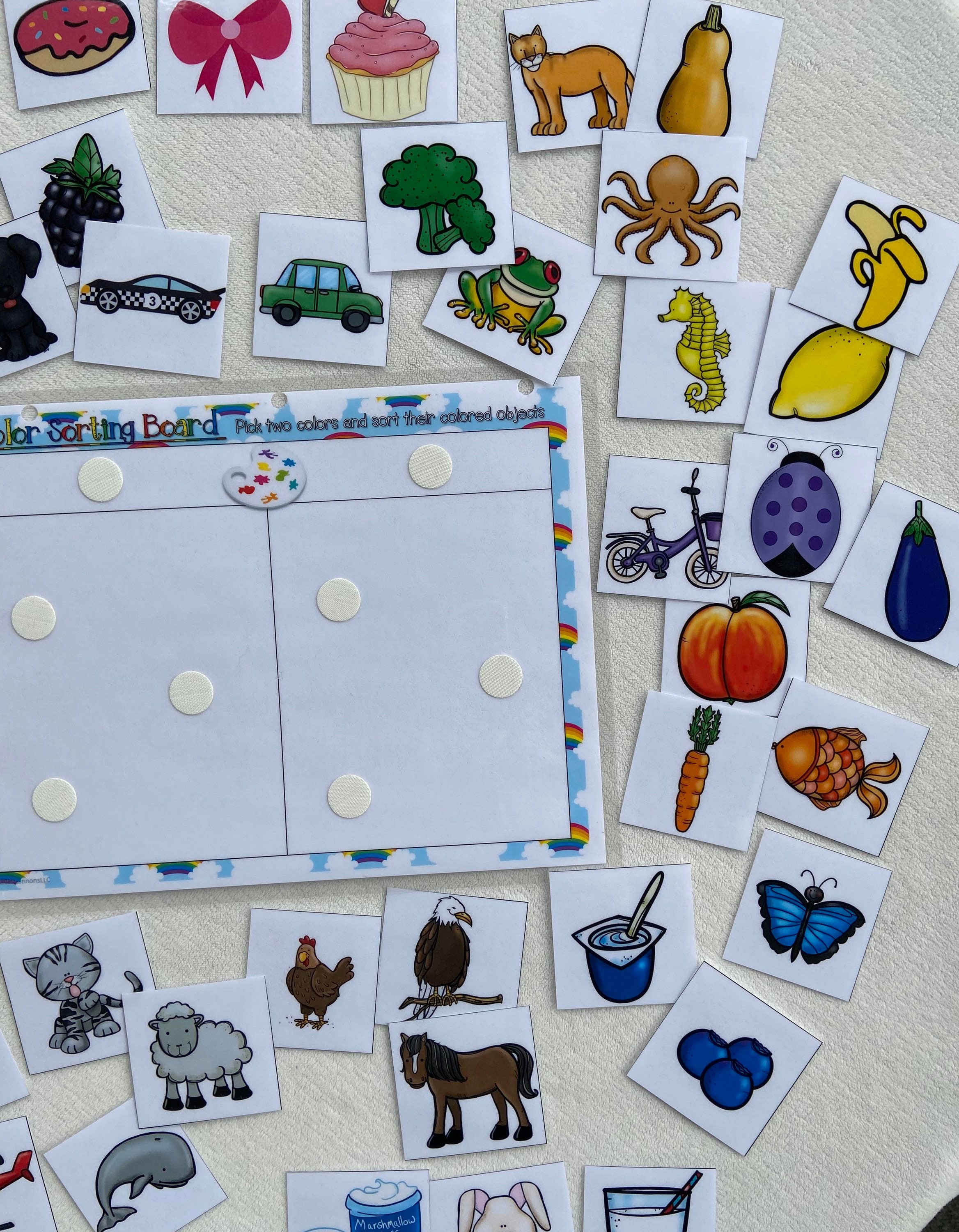 Color Sorting Digital Download Homeschool Activity | Etsy