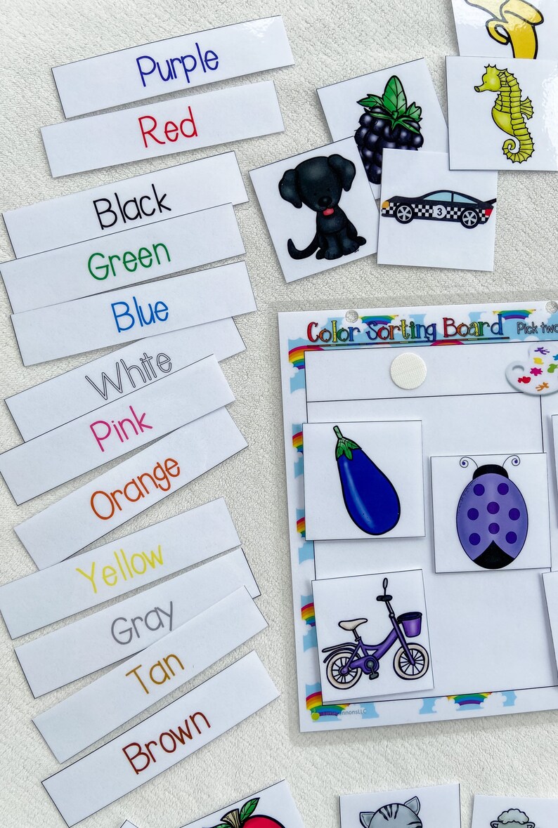 Color Sorting Digital Download Homeschool Activity | Etsy