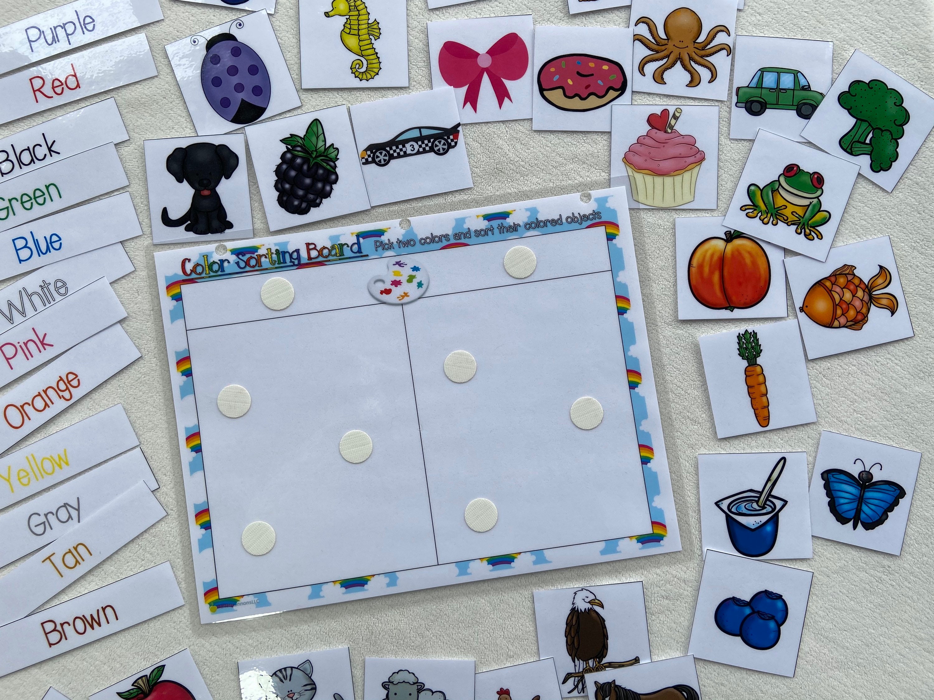 Color Sorting Digital Download Homeschool Activity | Etsy