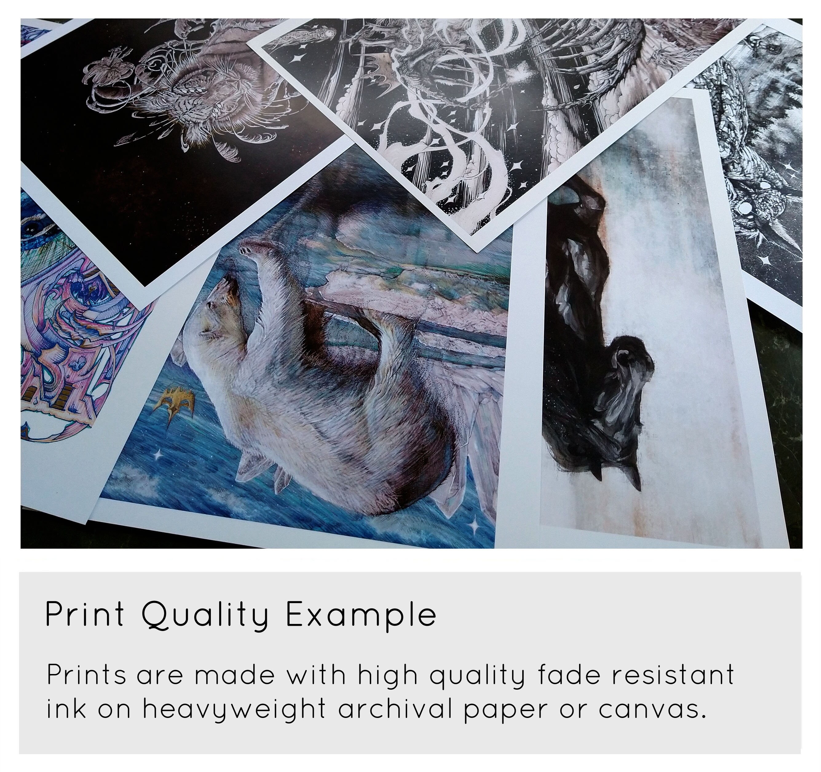 Peacock Pen and Ink Drawing High Quality Art Print by Alex - Etsy