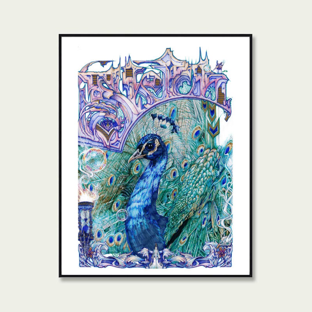 Peacock Pen and Ink Drawing High Quality Art Print by Alex - Etsy