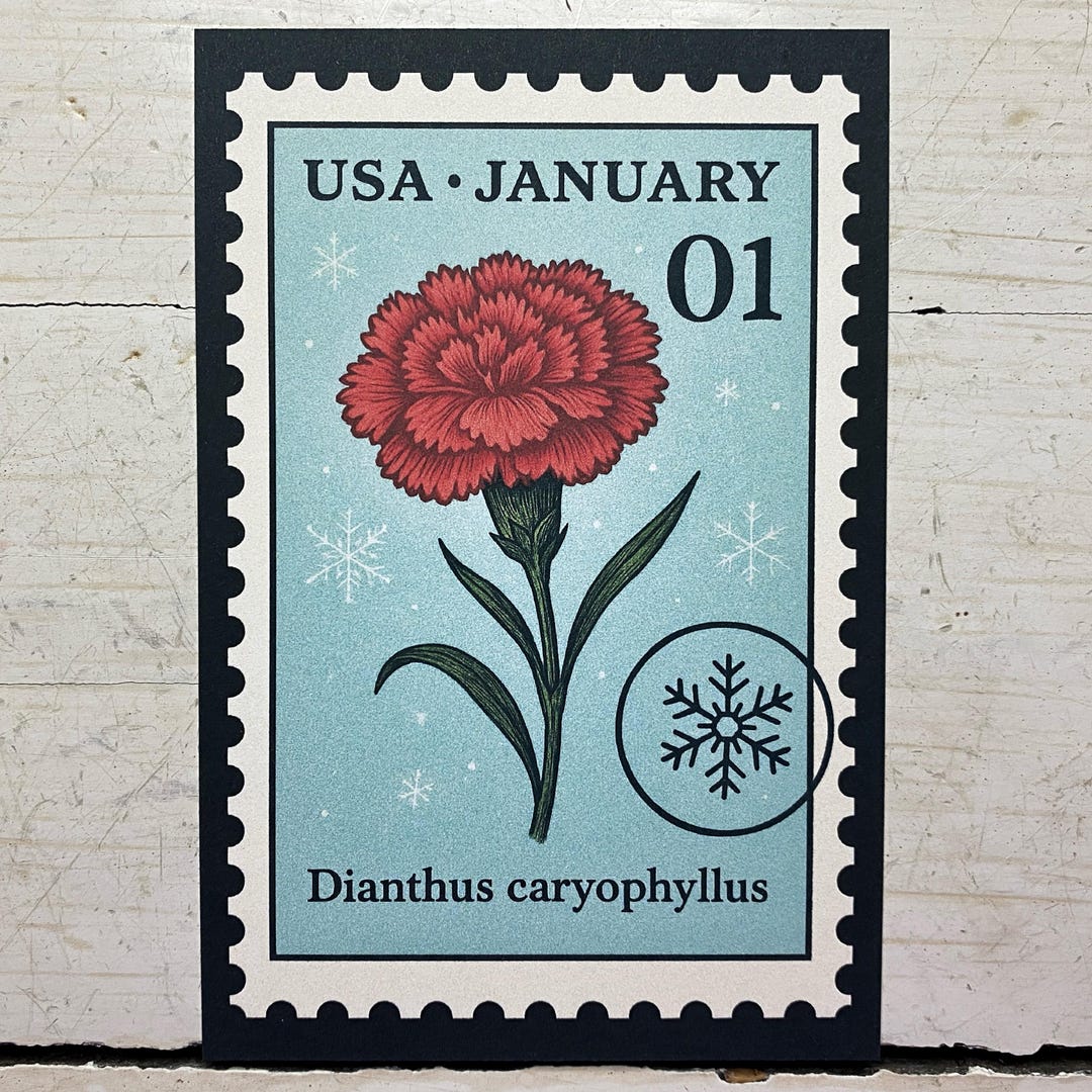 Postcard January Carnation Postage Stamp Birthday Flower Dianthus ...