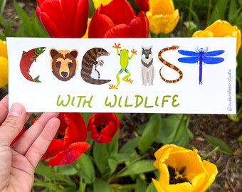 Scarlet Macaw Vinyl Sticker Waterproof Animal Wildlife Inspired Gift ...