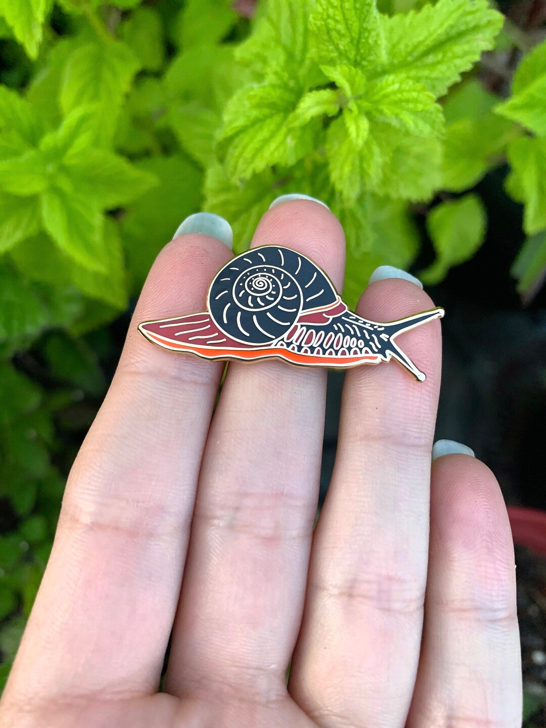 Fire Snail Pin 25% to Charity Platymma Tweediei Snail Hard Enamel Pin ...