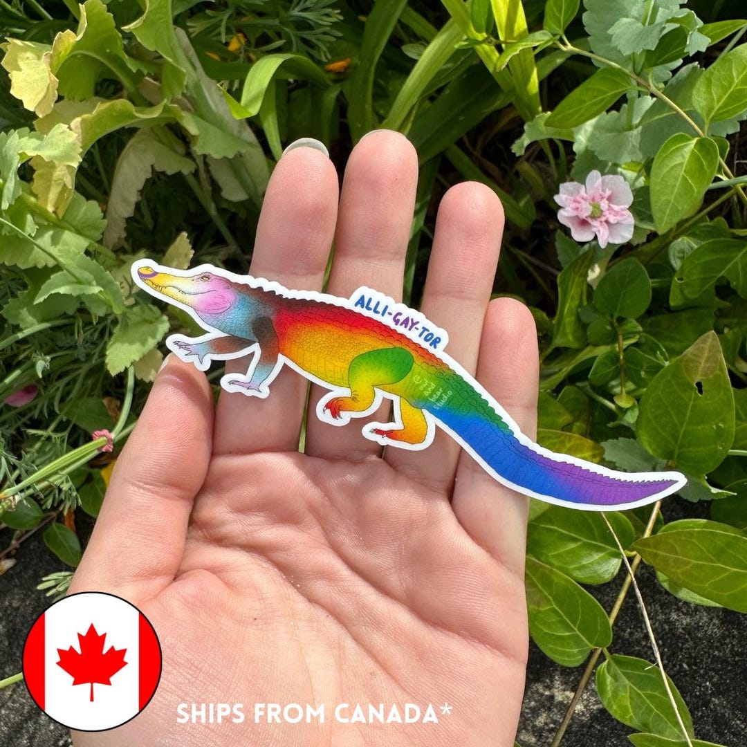 Alli-gay-tor Sticker (eco Vinyl) - Alligator - Rainbow Gay LBTQ2SIA ...