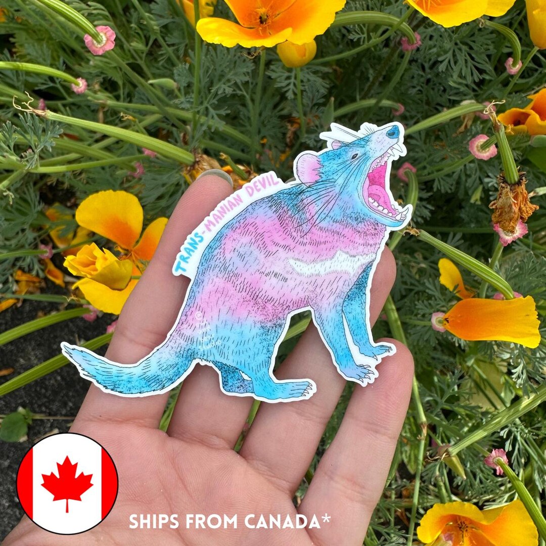 Trans-manian Devil Sticker (eco Vinyl) - Tasmanian Devil - Subtle ...