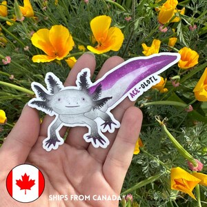 Ace-olotl Sticker (eco Vinyl) - Axolotl - Subtle Asexual Pride ...