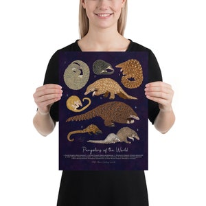 Pangolins of the World - Fine Art Print - ID Field Guide Poster ...