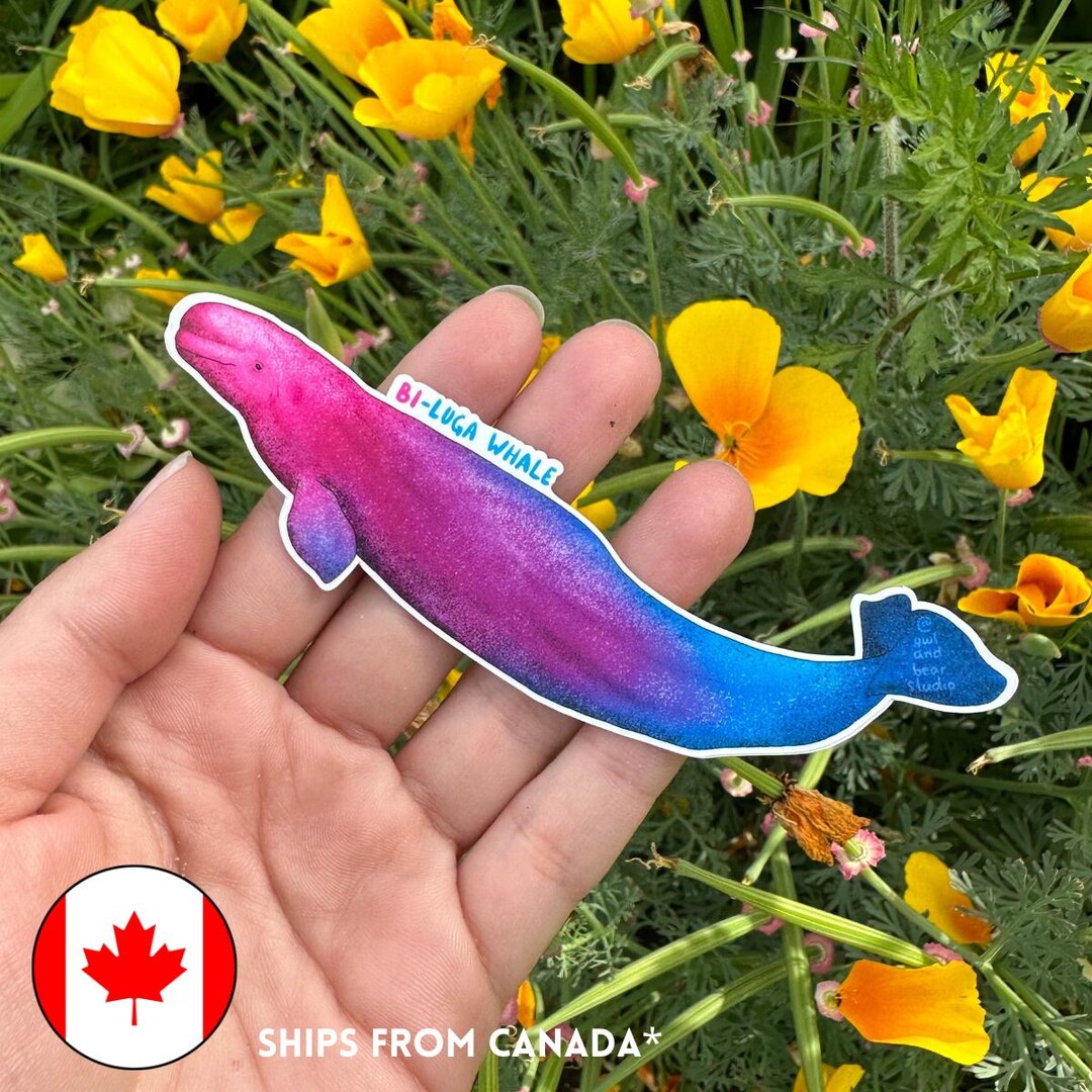 Bi-luga Whale Sticker (eco Vinyl) - Beluga Bisexual Pride - 2SLGBTQIA ...