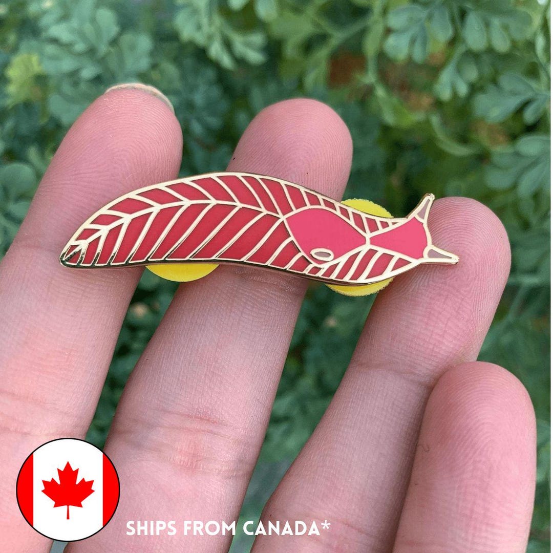 Mt Kaputar Pink Slug Pin - 25% to Charity! - Triboniophorus - Red ...