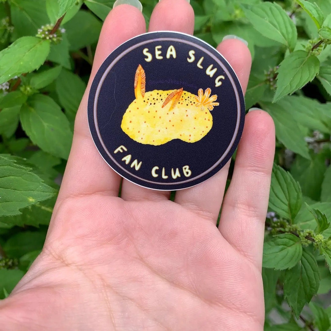 Sea Slug Fan Club Sticker vinyl FREE SHIPPING Nudibranch Sea Lemon - Etsy