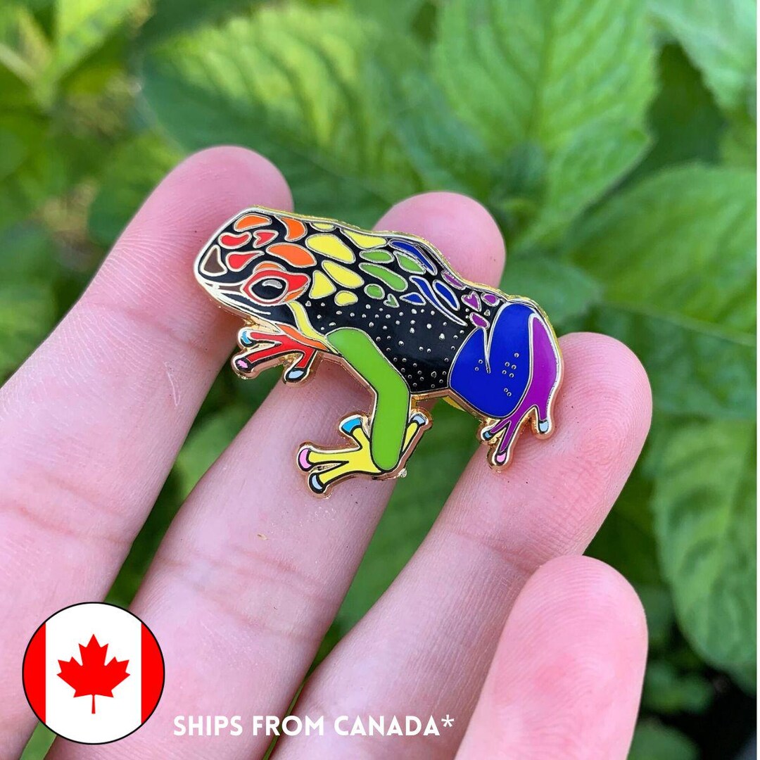 Gay Pride Rainbow Frog Pin - 25% to Charity! - Queer-owned Business ...