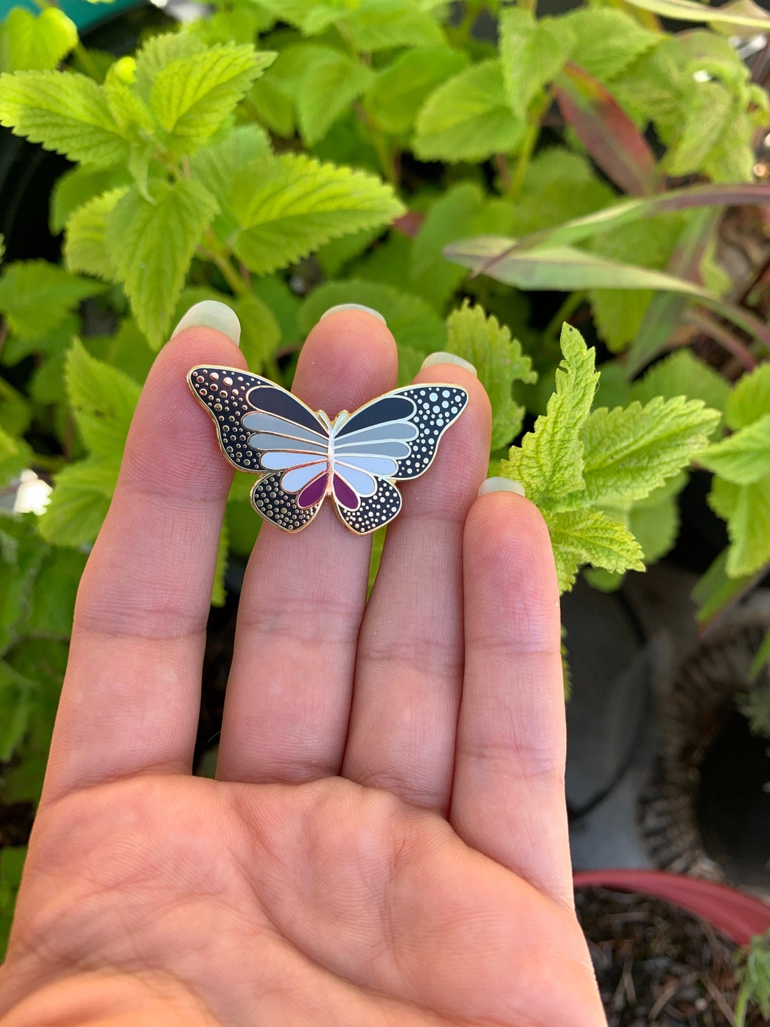 Asexual Pride Butterfly Pin 25% to Charity Queer-owned Business ...