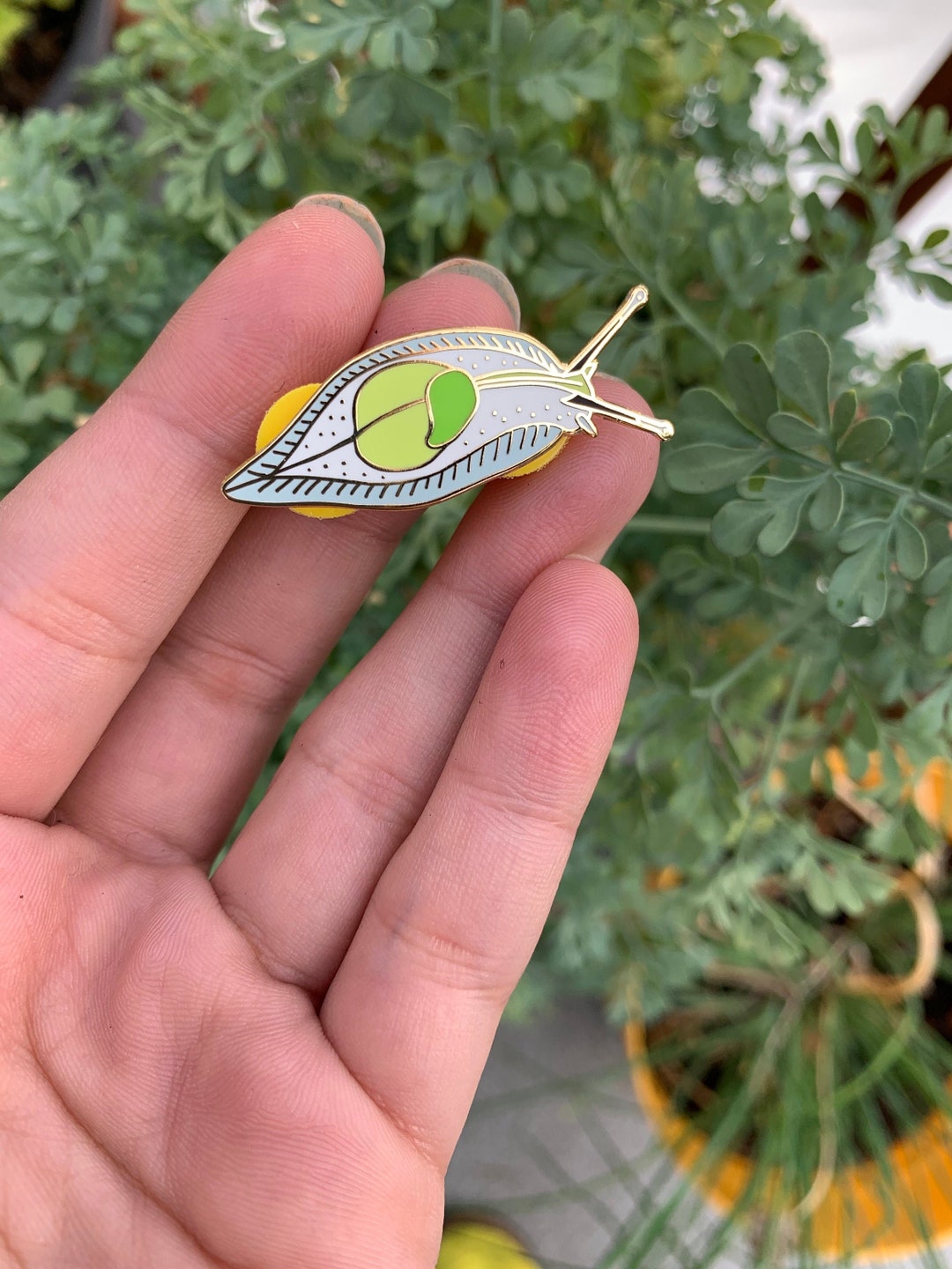 Puerto Rican Semi-slug Pin 25% to Charity Gaeotis Flavolineata Hard ...