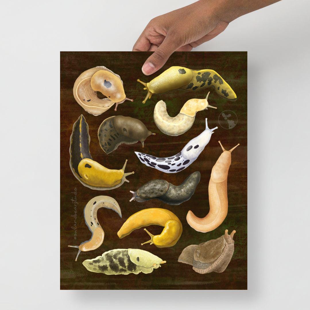 A Dozen Banana Slugs Print (multiple Sizes) - FSC Certified Paper ...