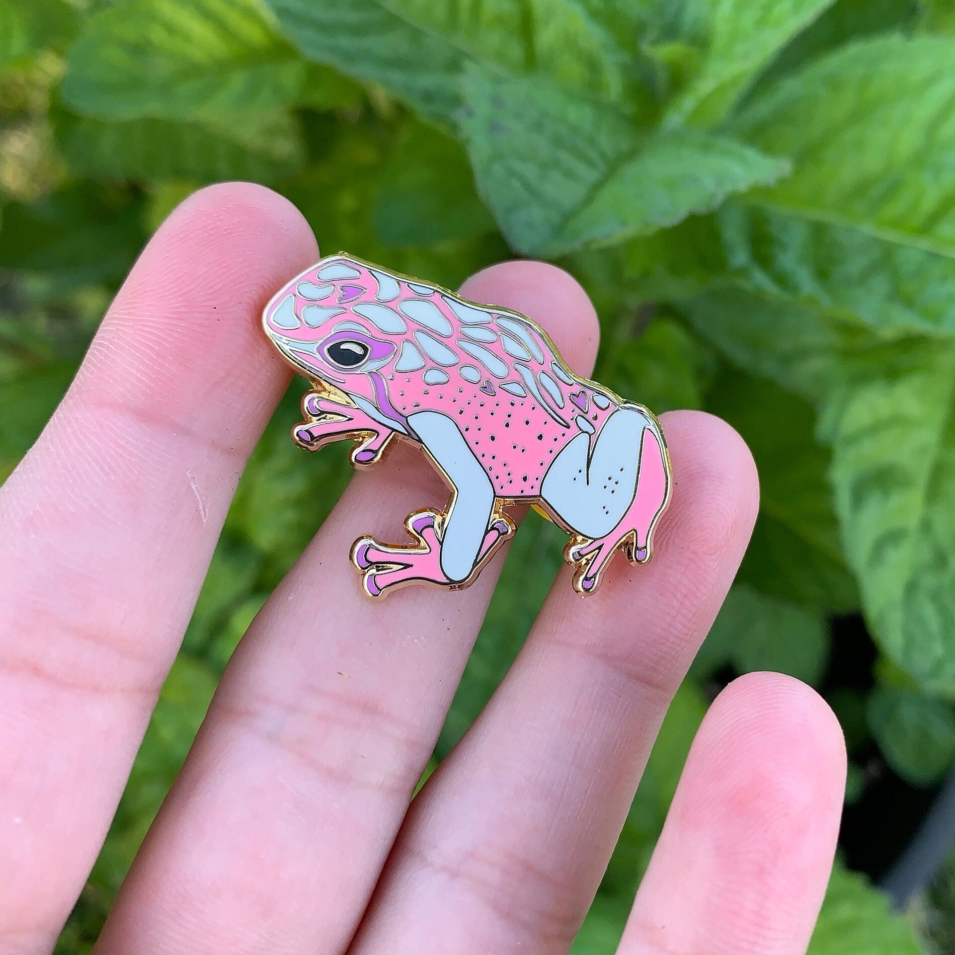 Pink Poison Arrow Frog