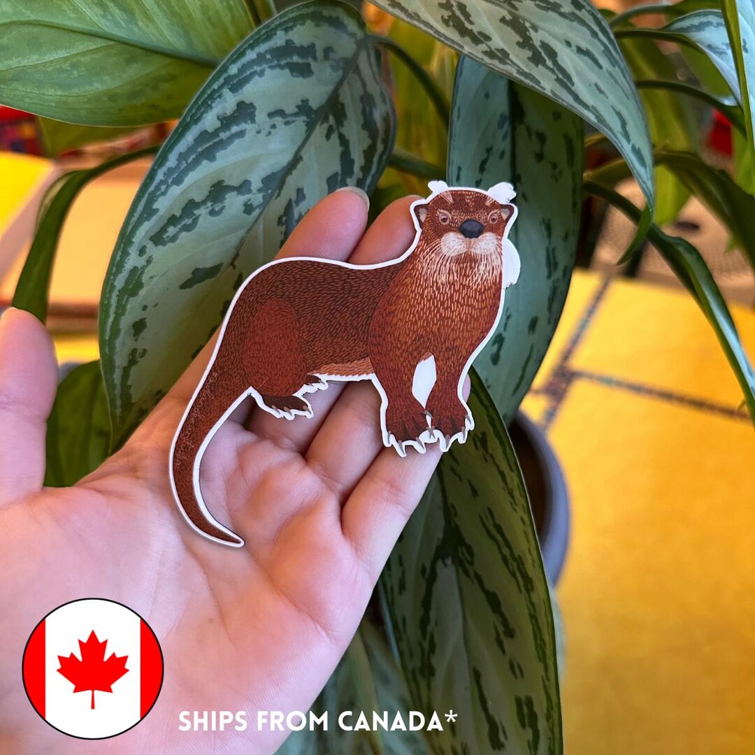 SUPER LIMITED EDITION! River Otter Magnet - Lontra Canadensis ...