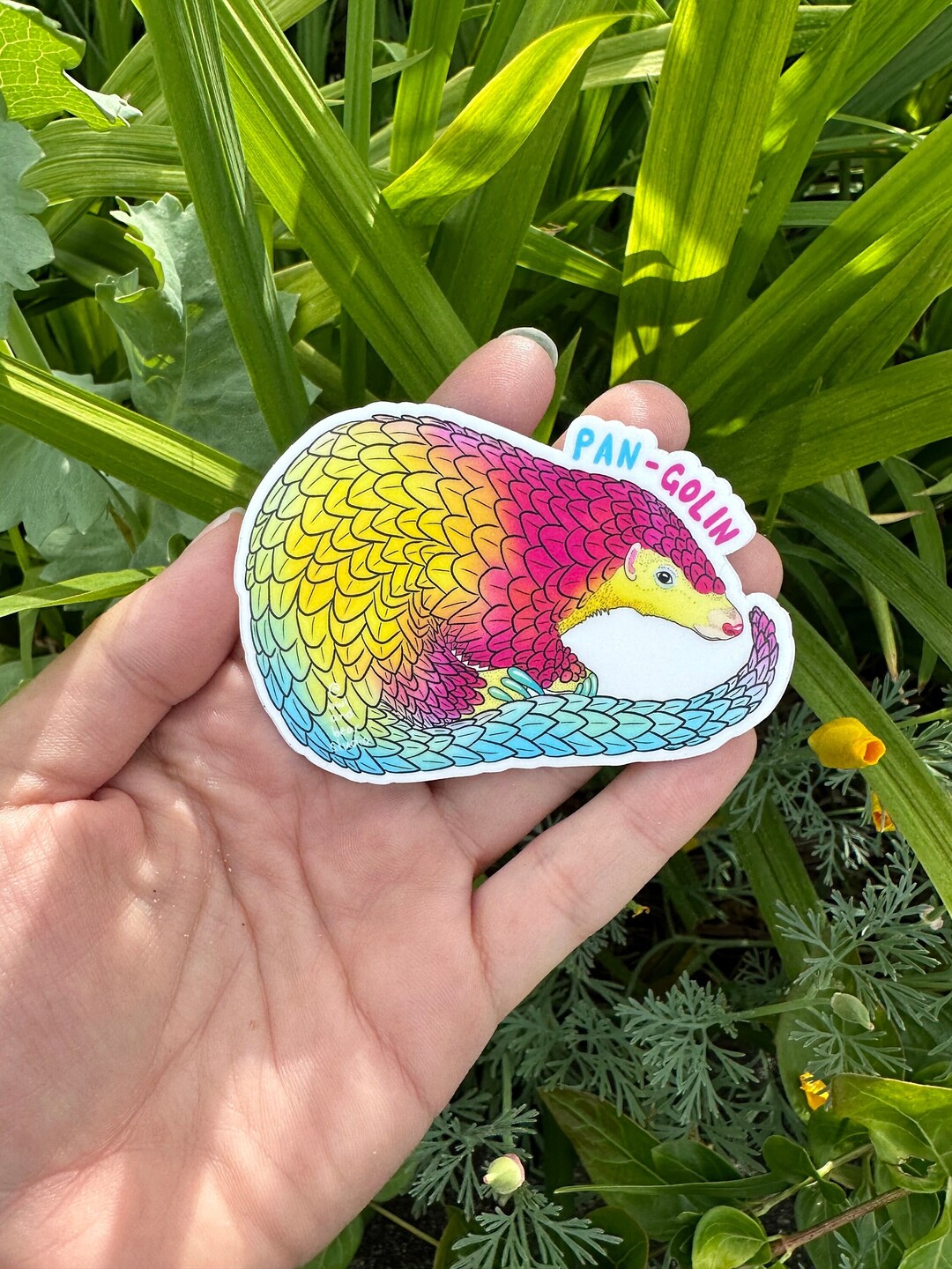 Pan-golin Sticker Eco Vinyl Pangolin Pansexual Pride FREE SHIPPING - Etsy