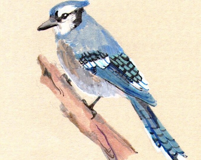 Blue Jays Hand Drawn Card - Birthday Card for Him for Her - Original ...