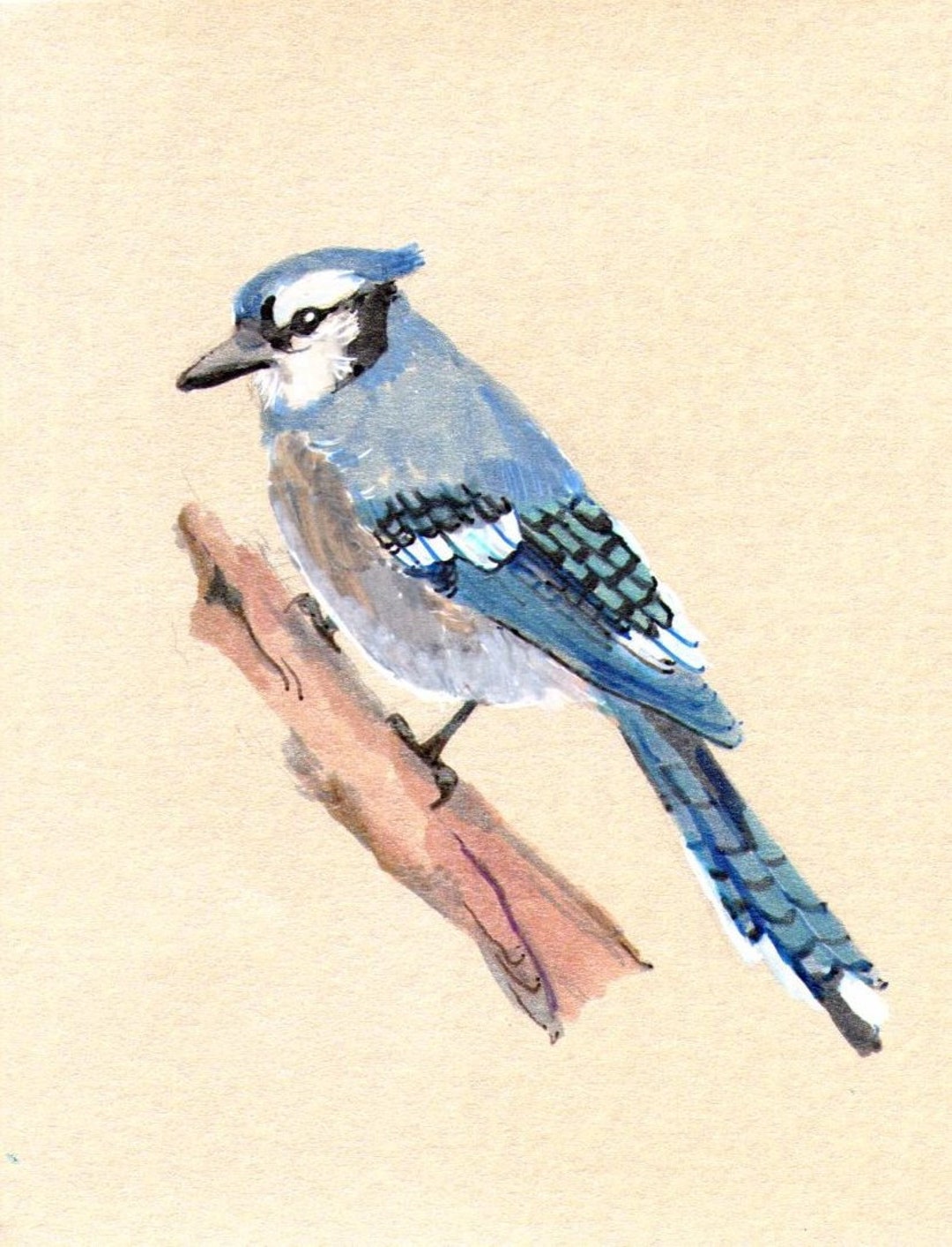 Blue Jays Hand Drawn Card - Birthday Card for Him for Her - Original ...