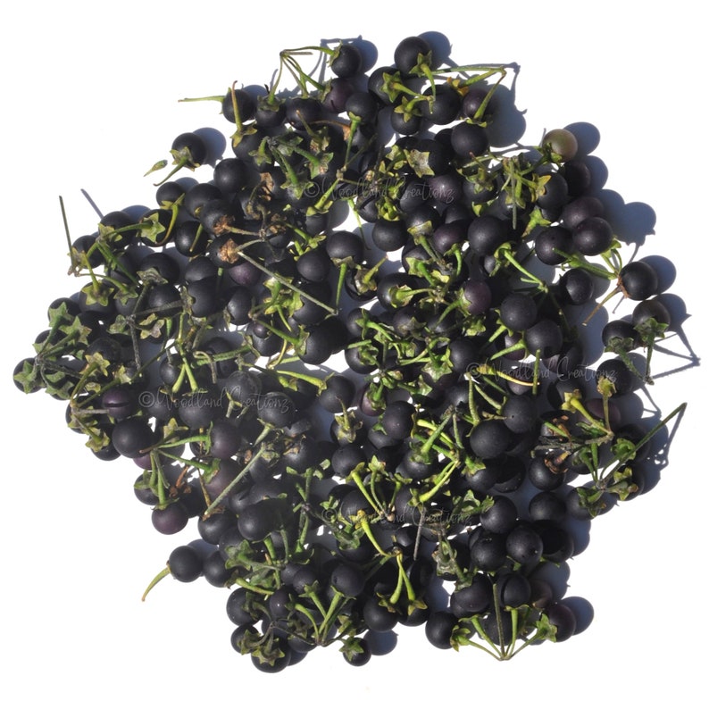Sunberry - Wonderberry - Rare Fruit - Sweet Berries - Dark Fruits ...