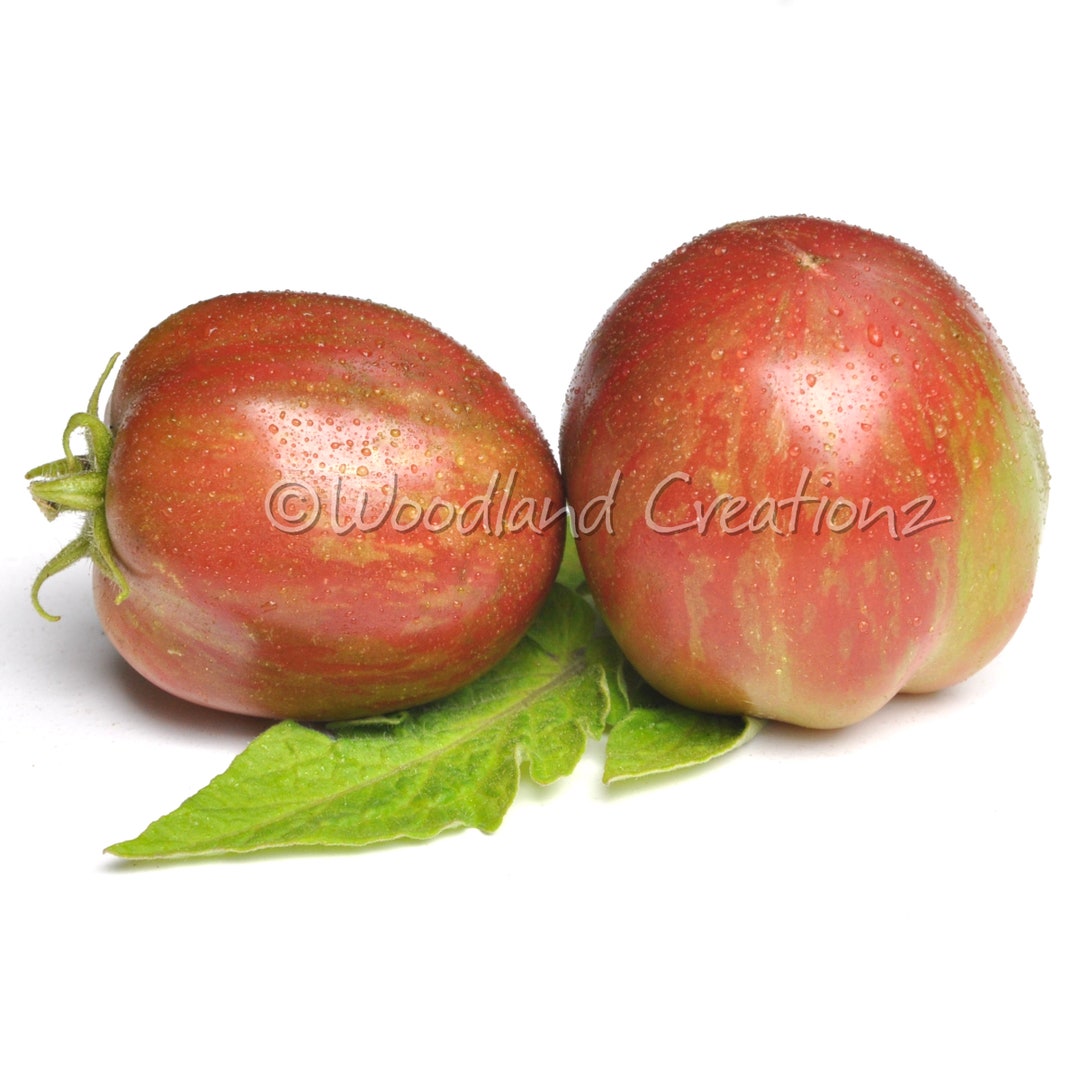 Groovy Tunes Tomato - Micro Dwarf Tomato Seeds - Chartreuse Green ...