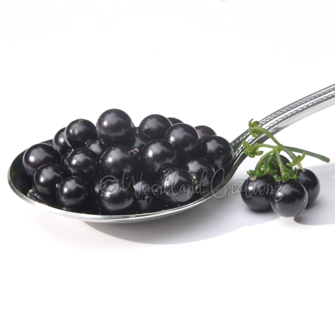 Miltomato Vallisto - Rare Fruit - Sweet Berries - Dark Fruits - Etsy