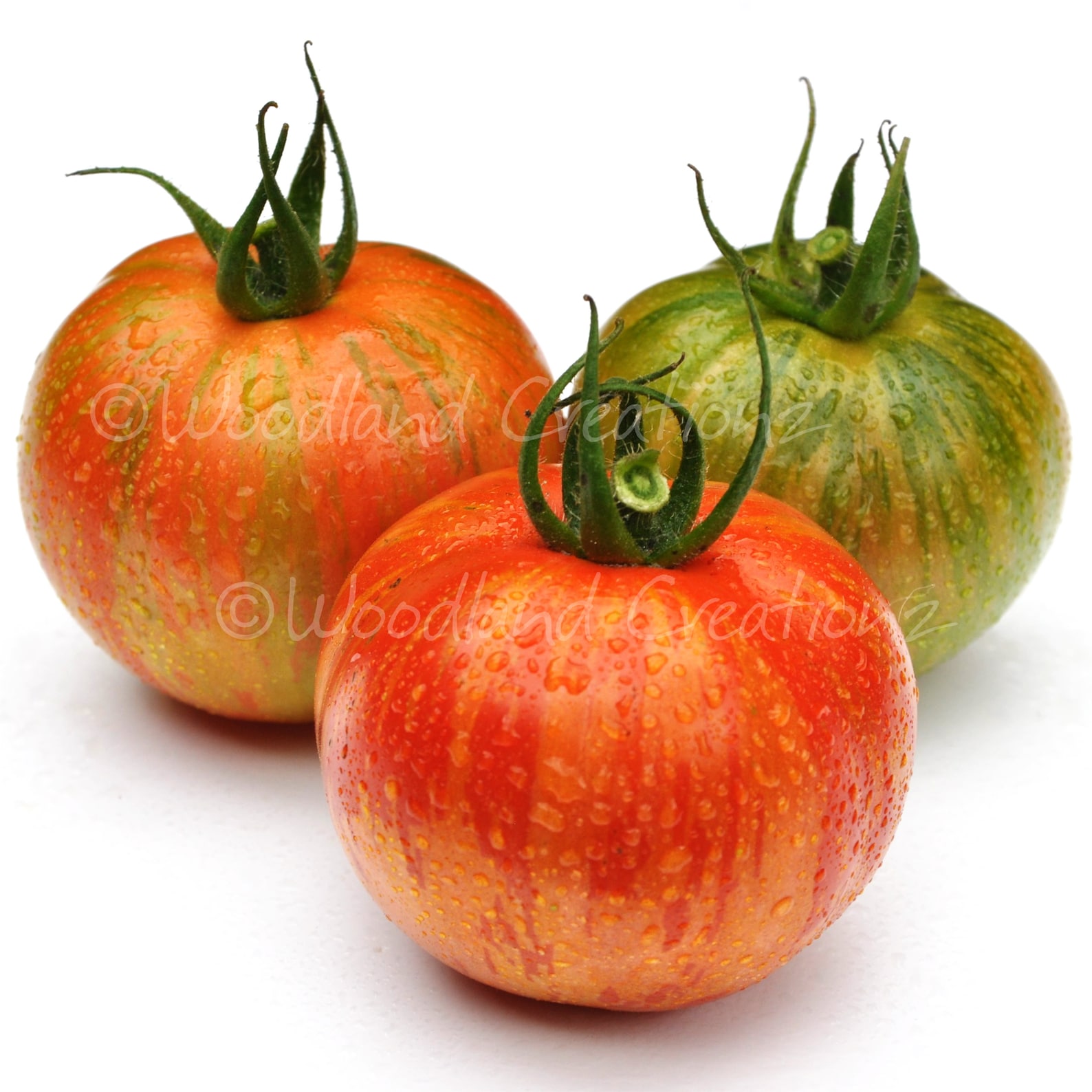 Red Zebra Tomato Seeds Organic Open Pollinated Heirloom USA - Etsy