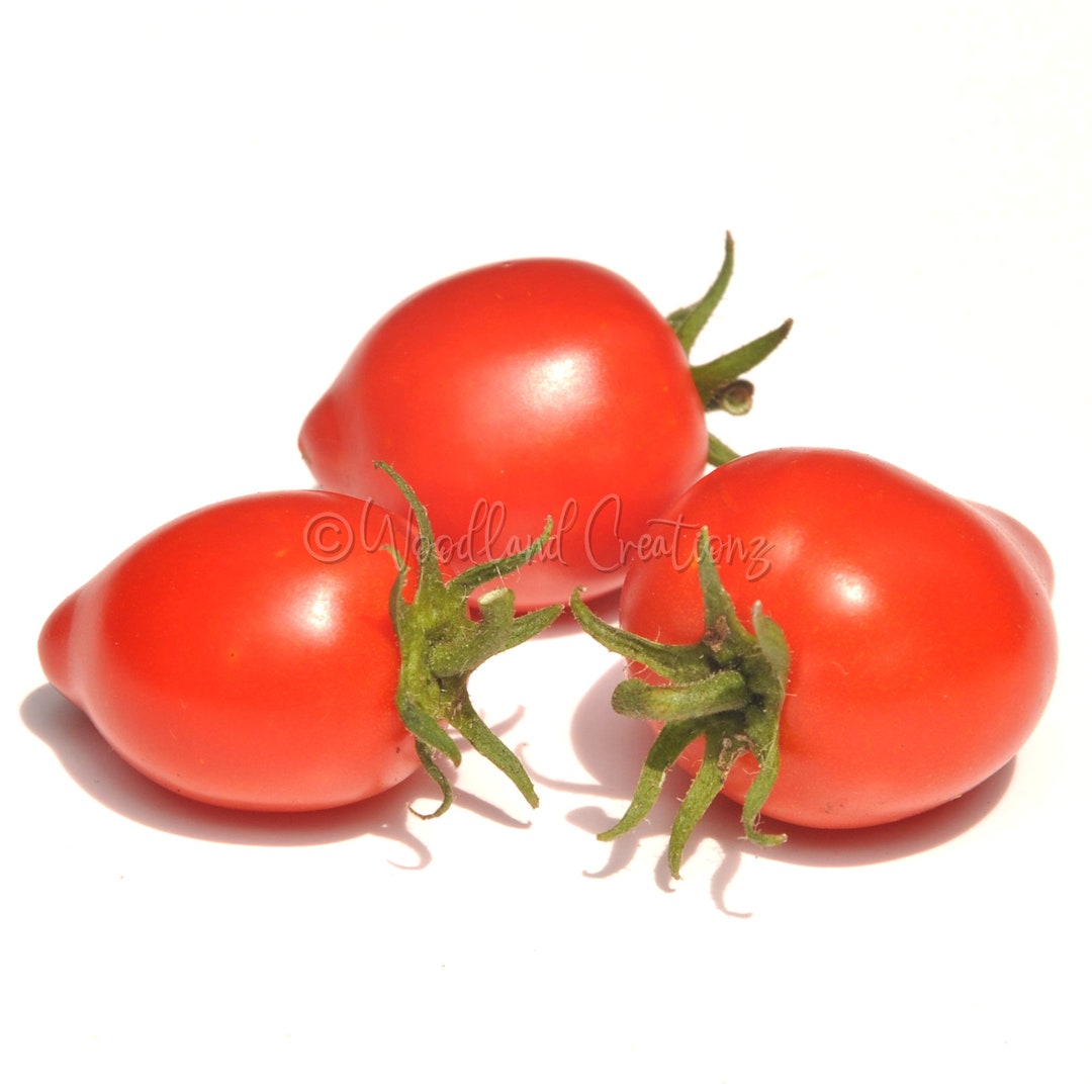 Plumbrella Red Micro Tomato - Micro Dwarf Tomato Plant - Sweet Red Tomatoes - Aerogarden Tomato ...