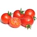 Pinocchio Tomato Seeds Micro Dwarf Tomato Red Cherrytomato Heirloom USA ...
