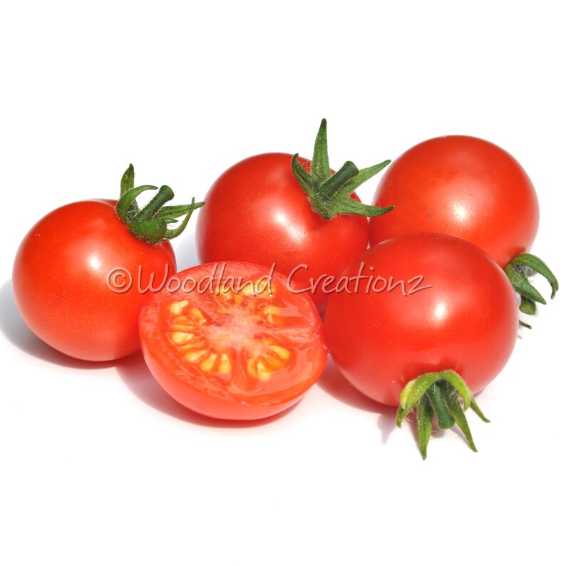 Pinocchio Tomato Seeds - Micro Dwarf Tomato - Red Cherrytomato ...