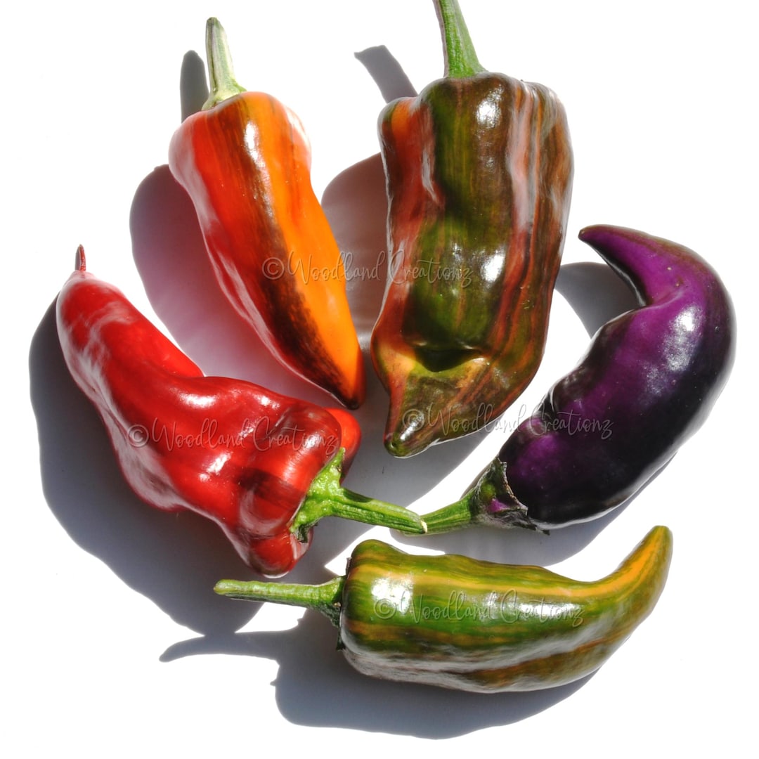 Tiger Jalapeno Pepper Seeds - Jalapeno Pepper Seeds - Hot Pepper Seeds ...
