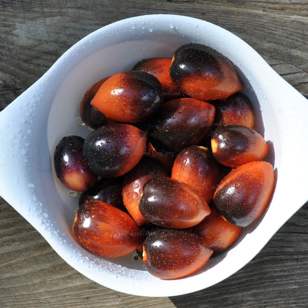 Midnight Roma Tomato Seeds - Dark Paste Tomato - High Anthocyanin - Etsy