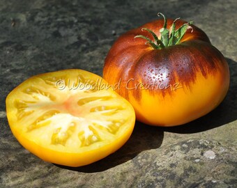 Beefsteak Tomato Seeds - Etsy