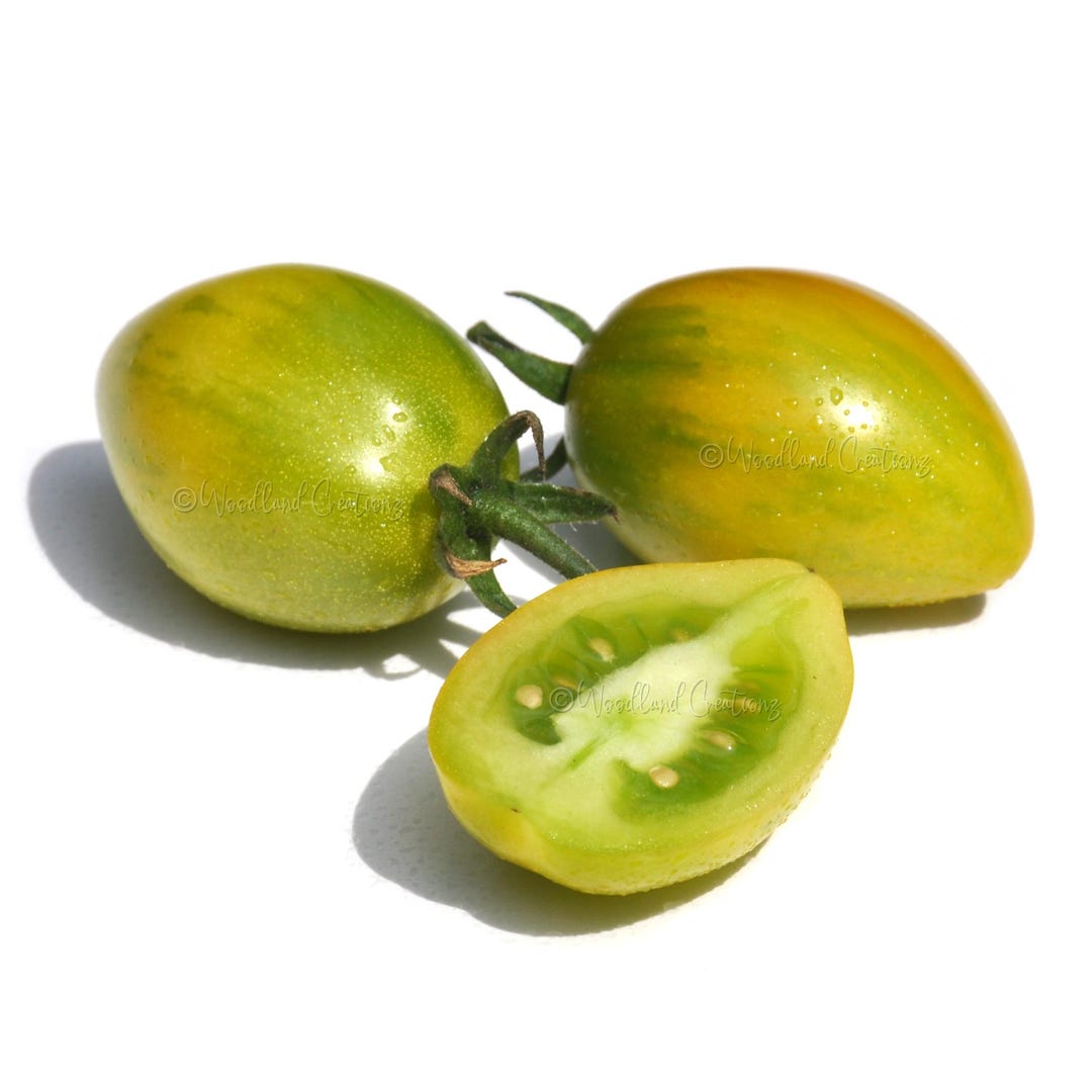 Jewel Beetle Tomato Seeds: Sweet Green Micro Dwarf Variety - Etsy