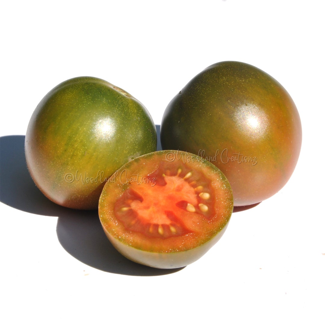 Evil Olive Tomato - Green Tomato - Heirloom Tomato - Etsy