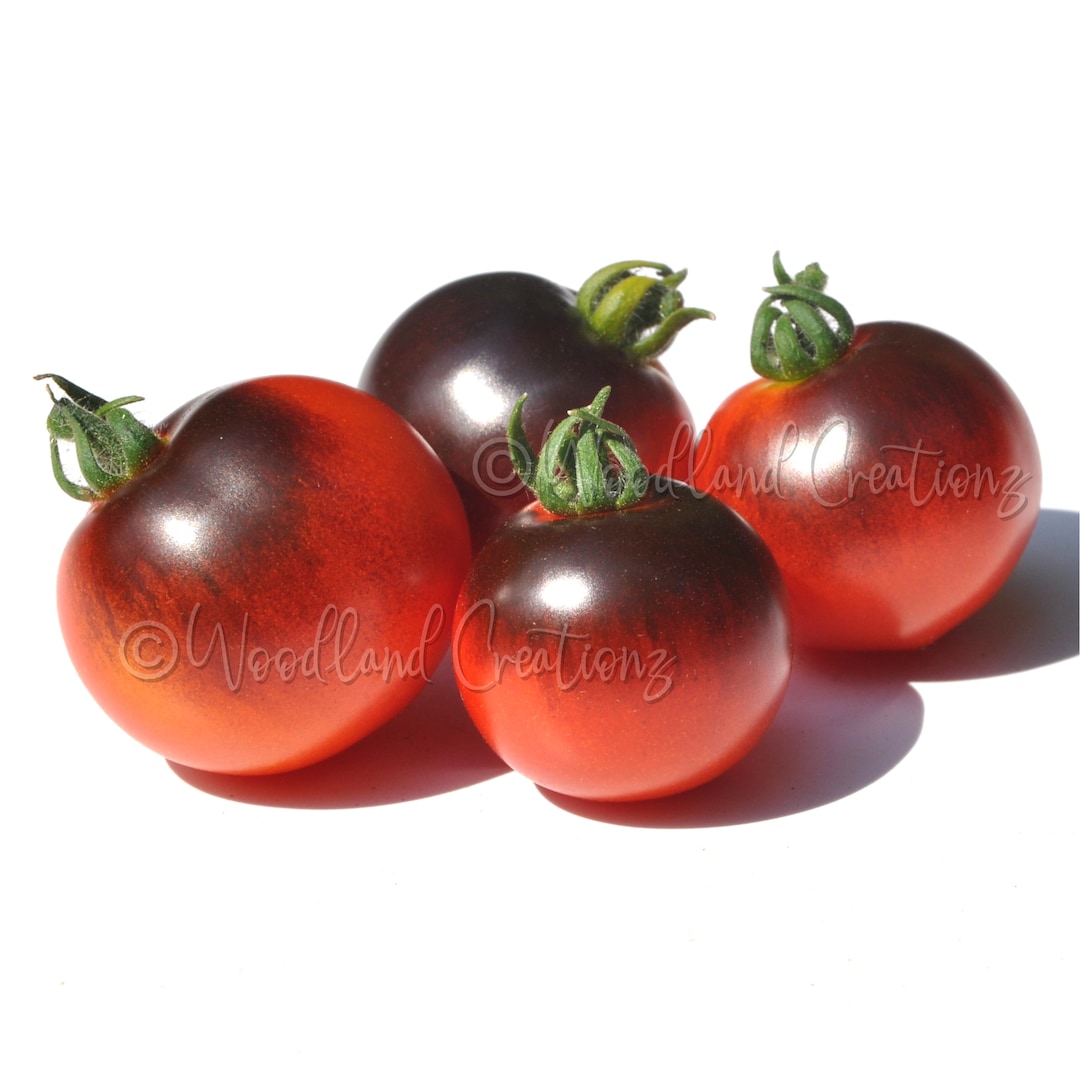 Tartufo Micro Dwarf Tomato Seeds - Rare Dark Fruits - Small Tomato ...