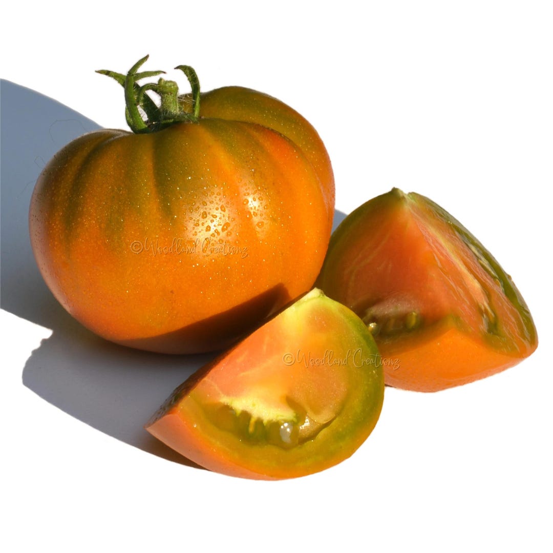 Thorburn's Terracotta Tomato Seeds: Heirloom Beefsteak Variety - Etsy