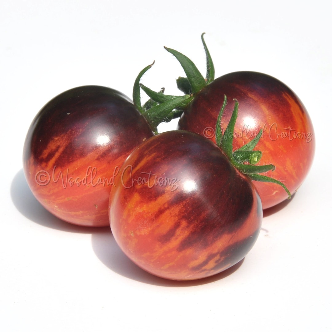 Black Strawberry Tomato Seeds: Early Stripe Tomato - Etsy