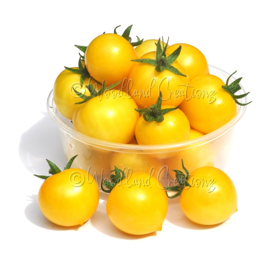 Aztek Tomato Seeds: Sweet Yellow Micro Dwarf Variety - Etsy