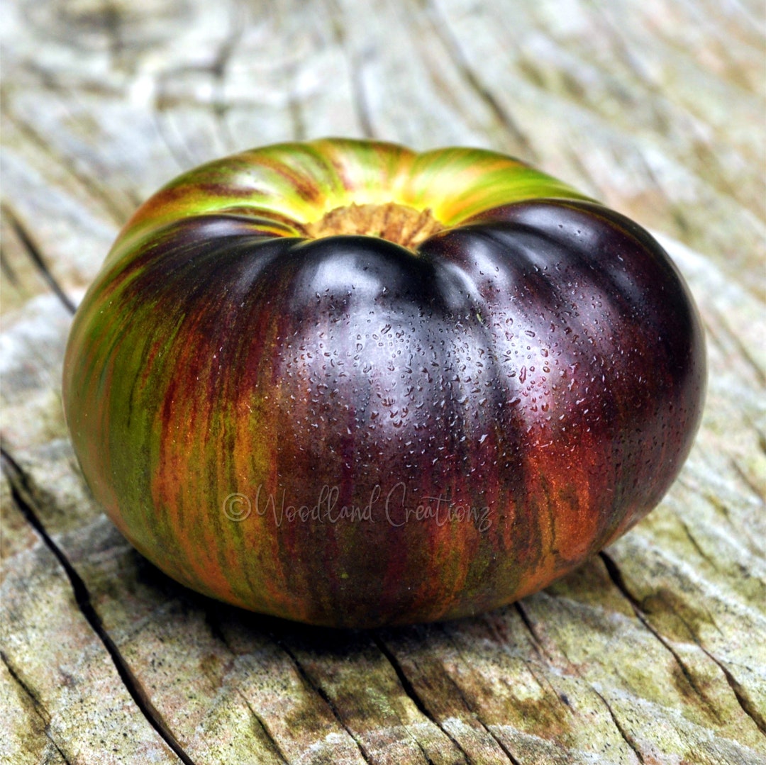 Dipper's Delight Tomato - Dwarf Beefsteak Tomato Seeds - Etsy