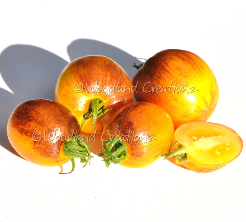 Atomic Sunset Tomato Seeds - Rare Cherry Tomato - Etsy