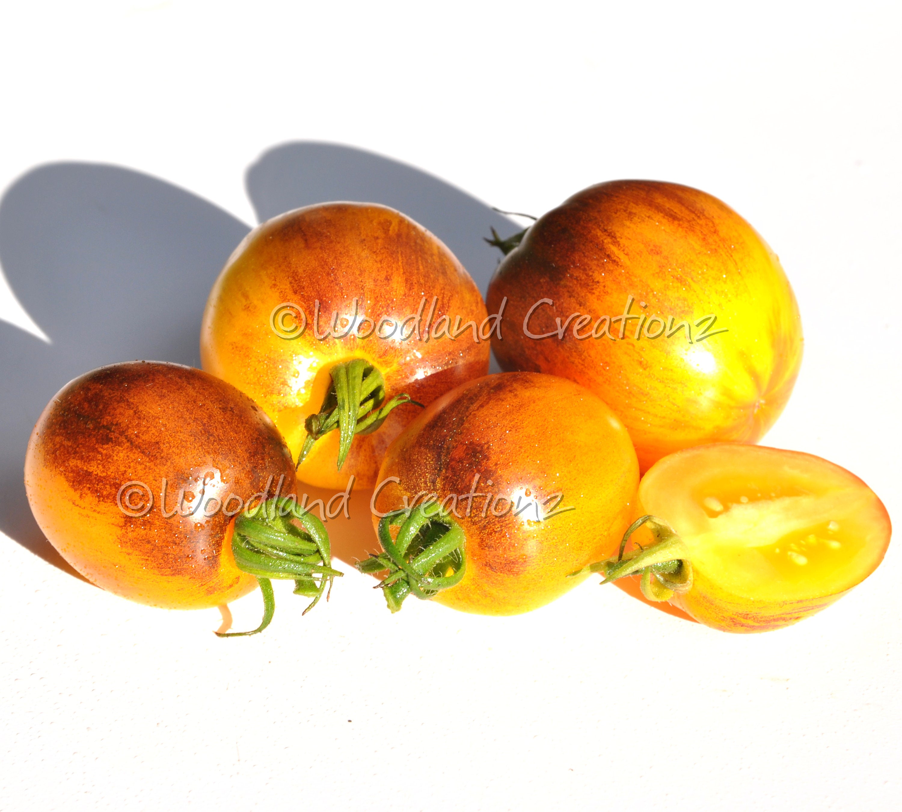 Atomic Sunset Tomato Seeds - Rare Cherry Tomato - Etsy