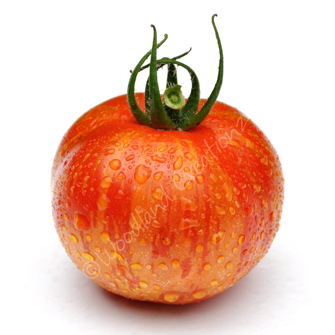 Red Zebra Tomato Seeds Organic Open Pollinated Heirloom USA - Etsy