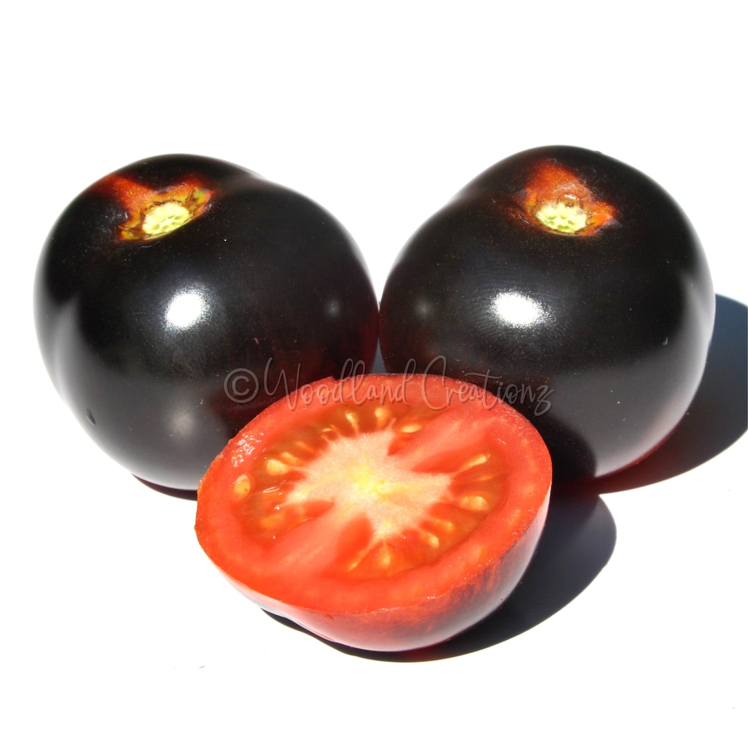 Eight Ball Tomato Seeds - Black Heirloom Variety (20 Seeds) - Etsy