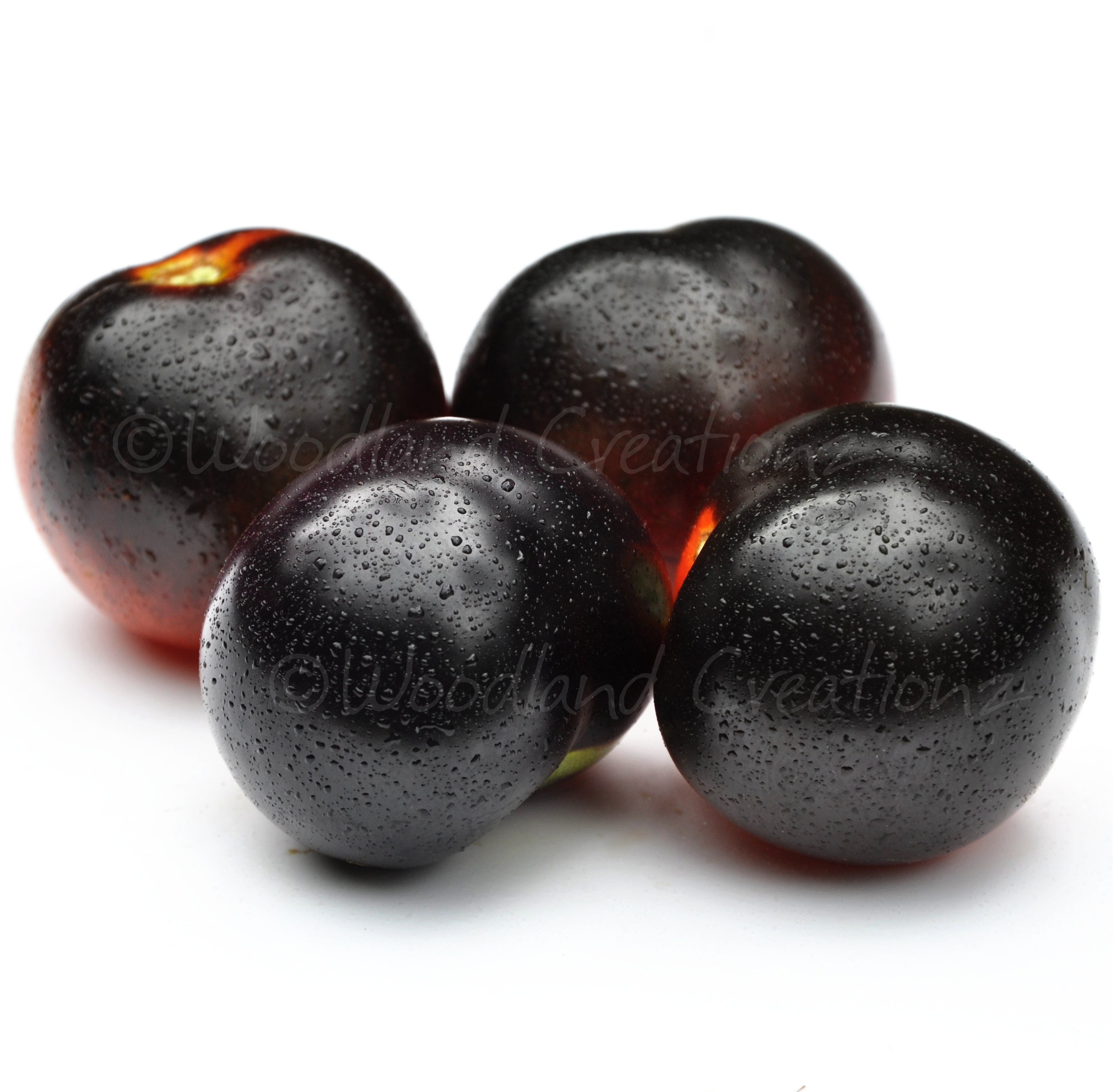Eight Ball Tomato Seeds - Black Heirloom Variety - Etsy