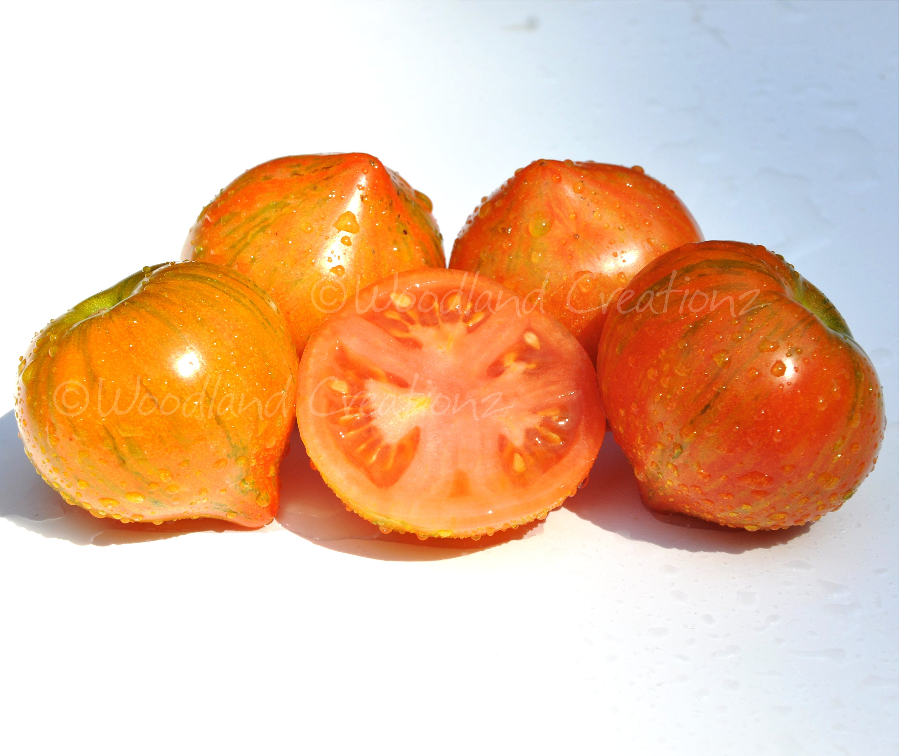 Painted Lady Tomato Seeds Variegated Tomato Seeds Heirloom - Etsy