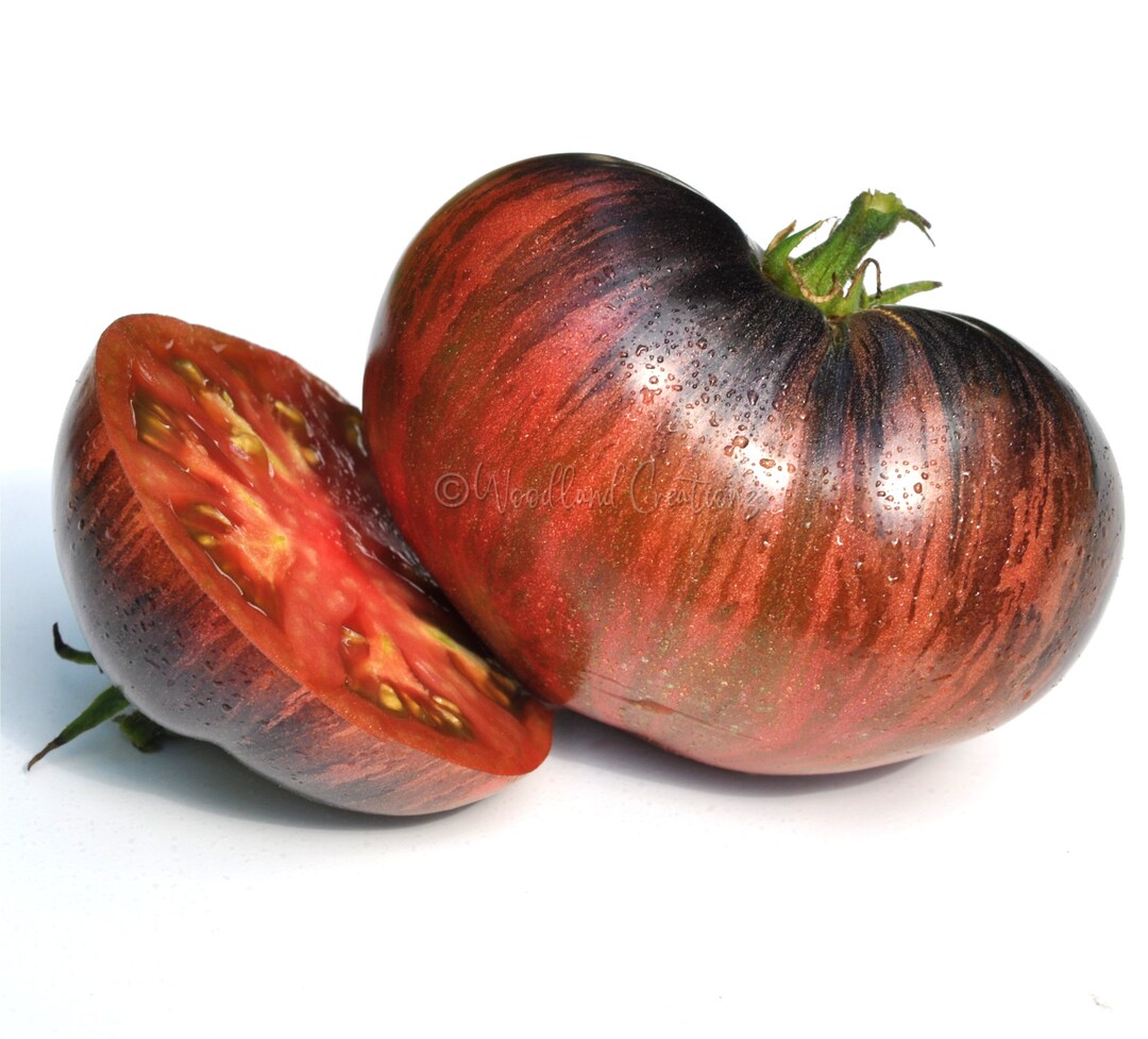 Marsha's Starfighter Beefsteak Tomato Beautiful Tomato Heirloom Tomato ...