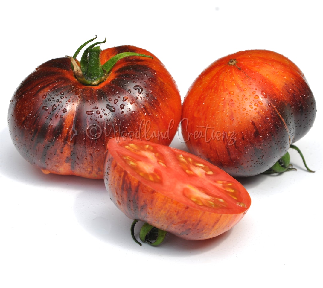 Queen of the Night Tomato - Etsy